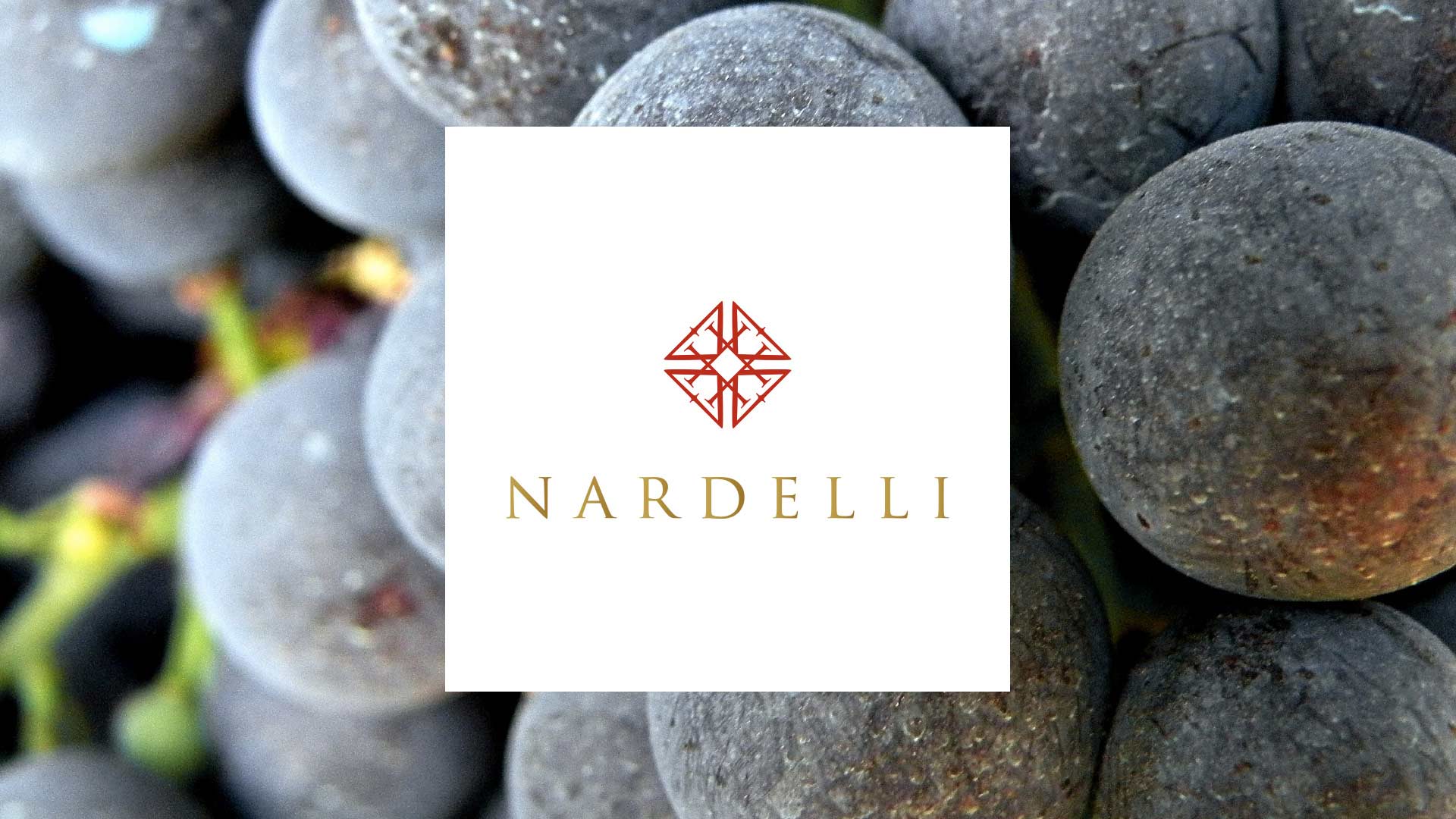 Homepage - Nardelli